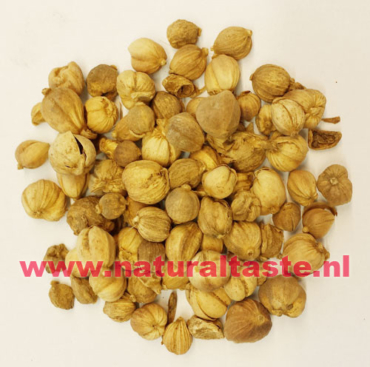 BAI DOU KOU • Fructus Amomi Rotundus – CMDC