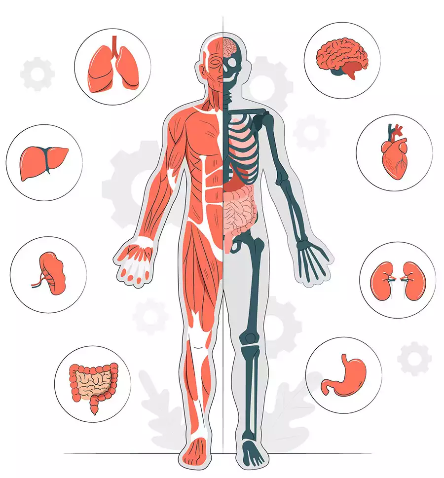 Interne geneeskunde van TCM – CMDC